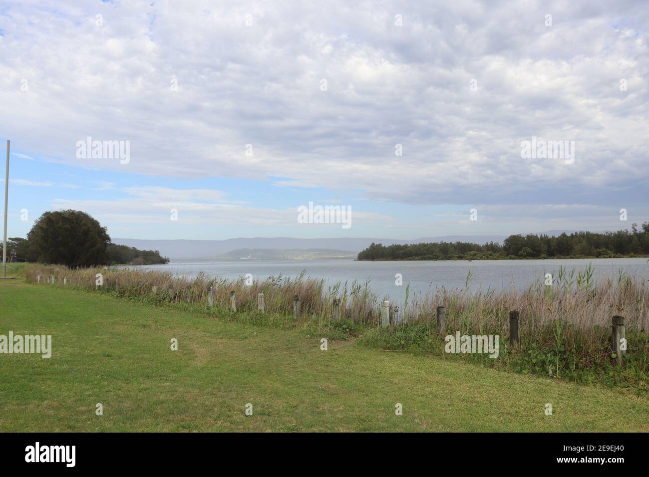 Landscape of meadow with green fields near the lake Stock Photo - Alamy