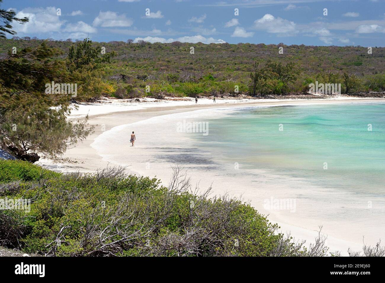 Madagascar 3 bays hi-res stock photography and images - Alamy