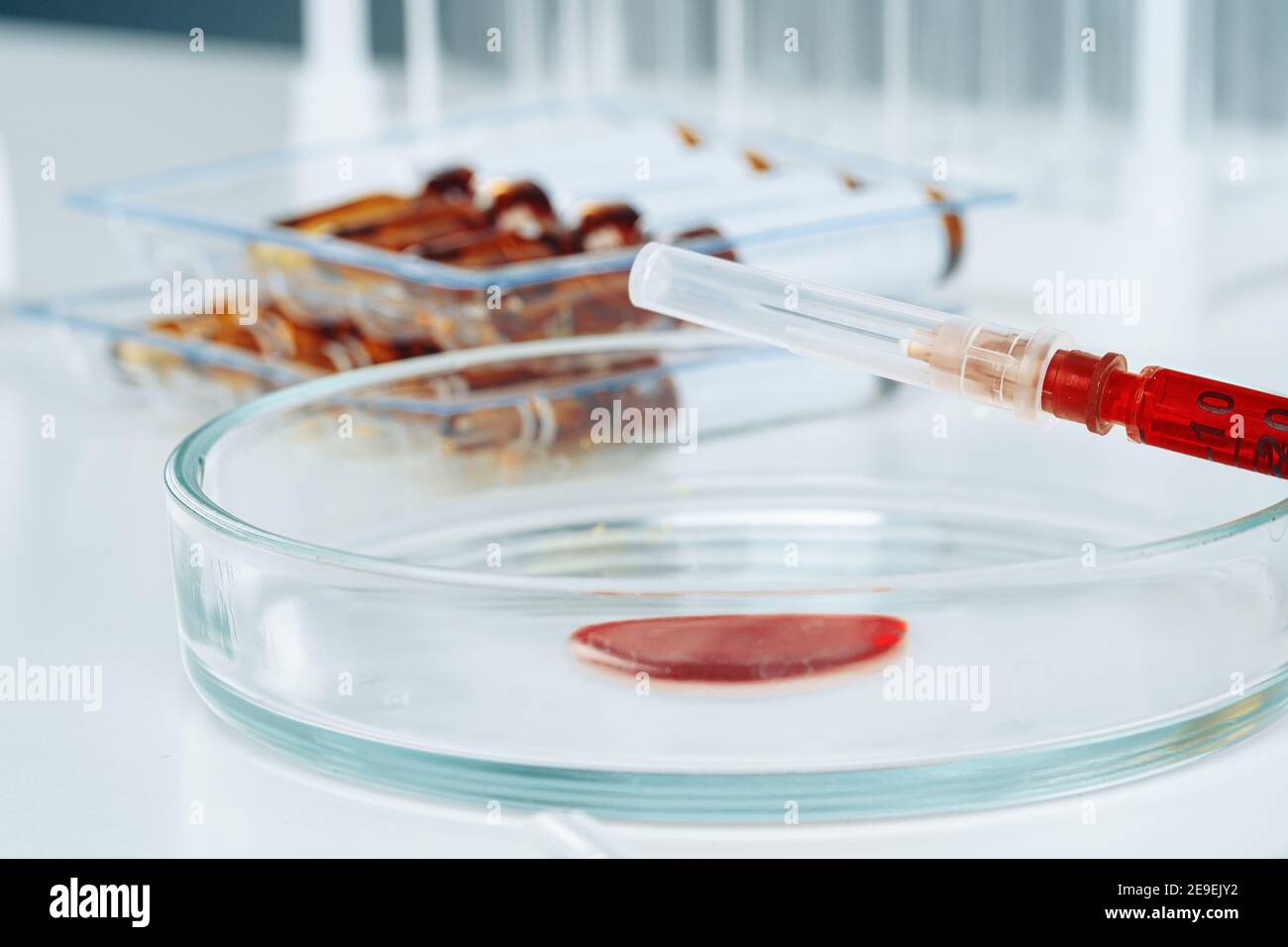 Glass dropper and Petri dish on laboratory table Stock Photo - Alamy