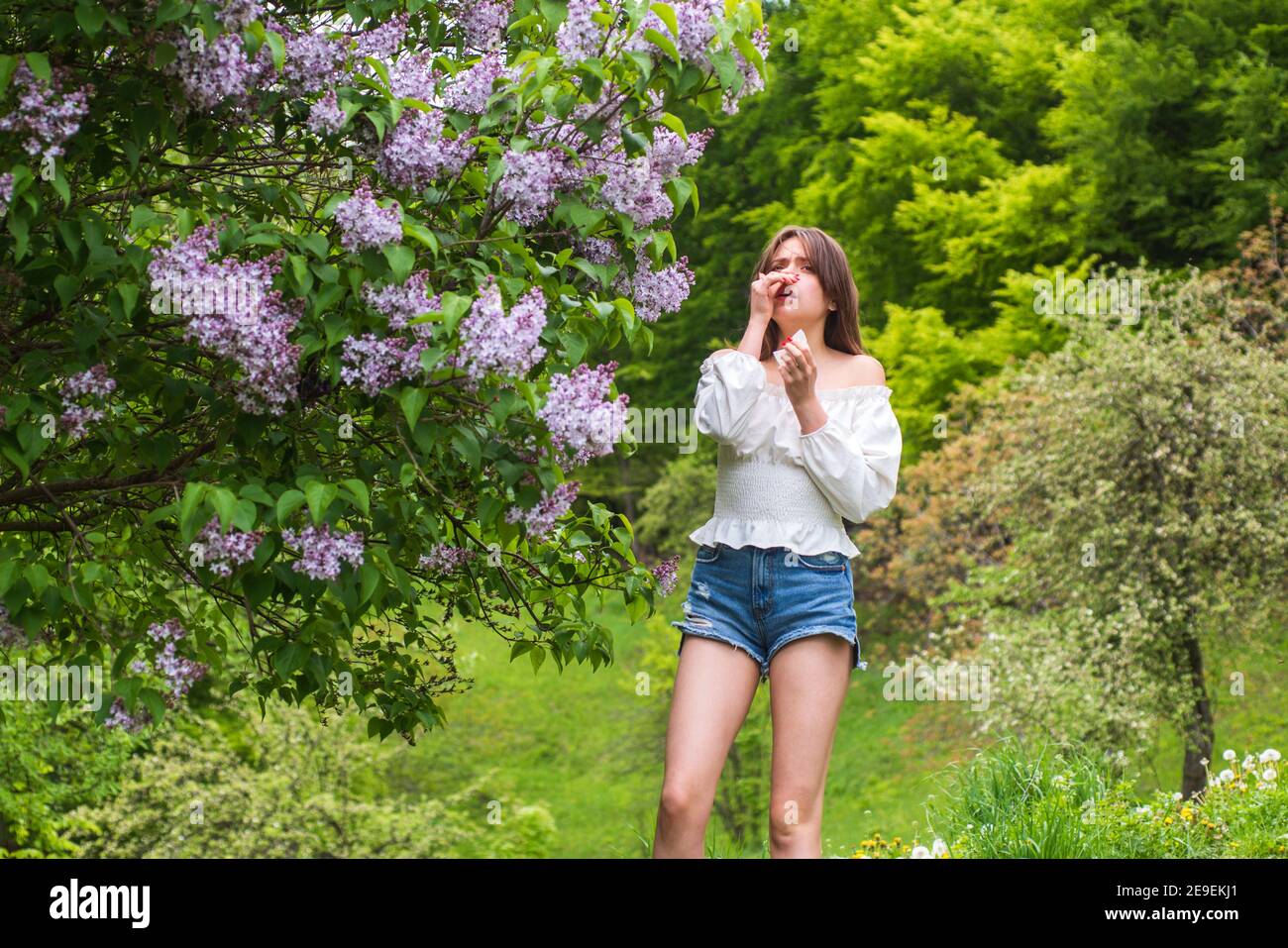Spring allergy. Girl with nose sneezing. Allergic symptom concept ...