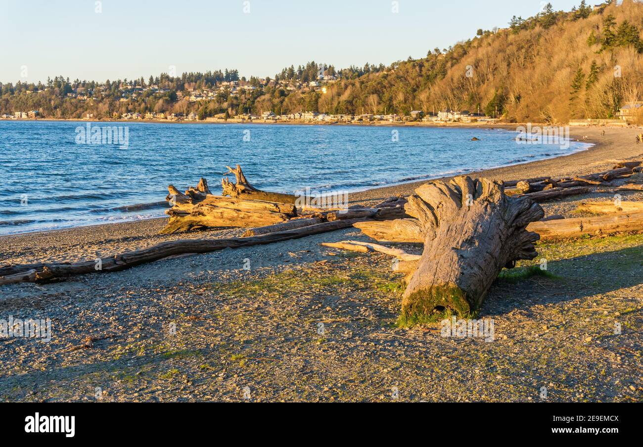 A landscape shot of a tree stump and the ocean at Seahurst Beach Parki ...