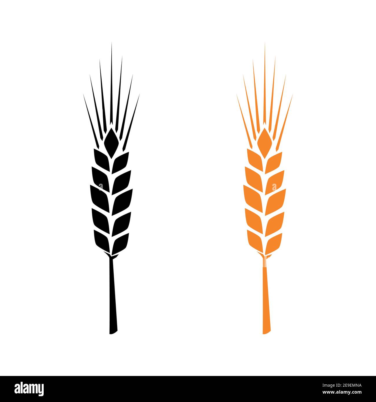 Wheat Vector