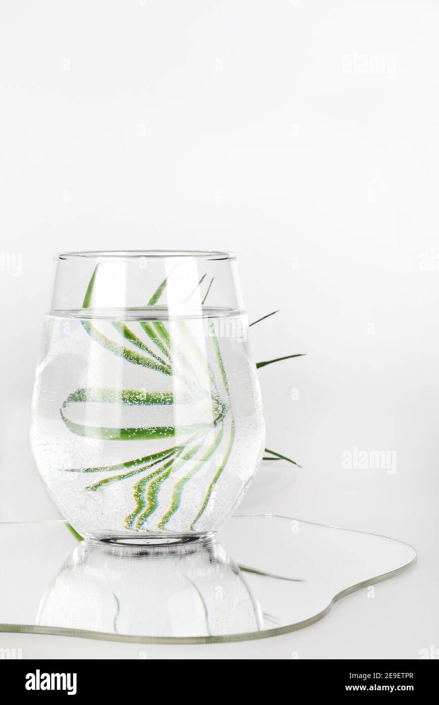 Water Distortion Photography