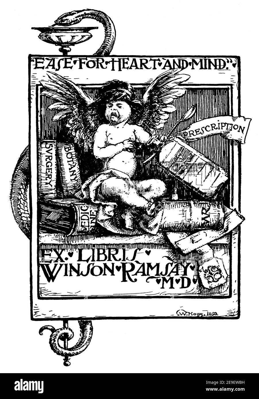 Victorian Medical Photography