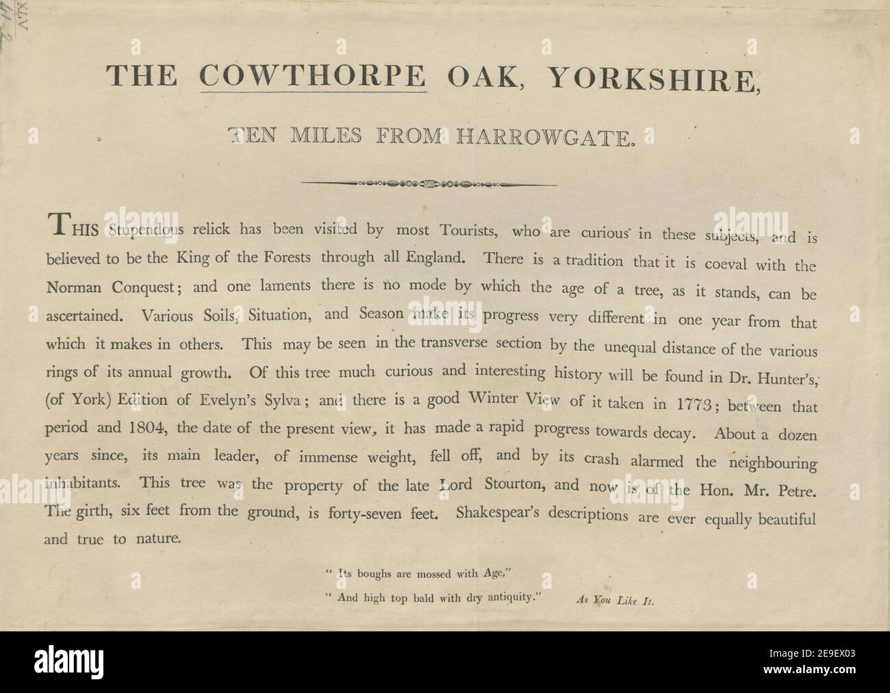 25 1 41 3 cm hi-res stock photography and images - Alamy