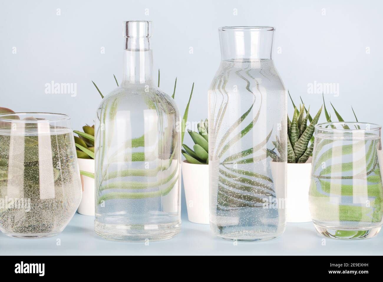 plants in pots distorted through water in glasses and bottle on blue ...