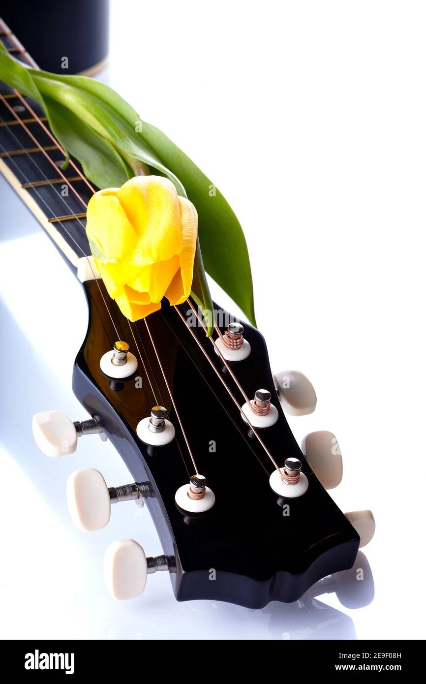 Guitar and yellow tulip. Musical instrument. Detail of a musical ...