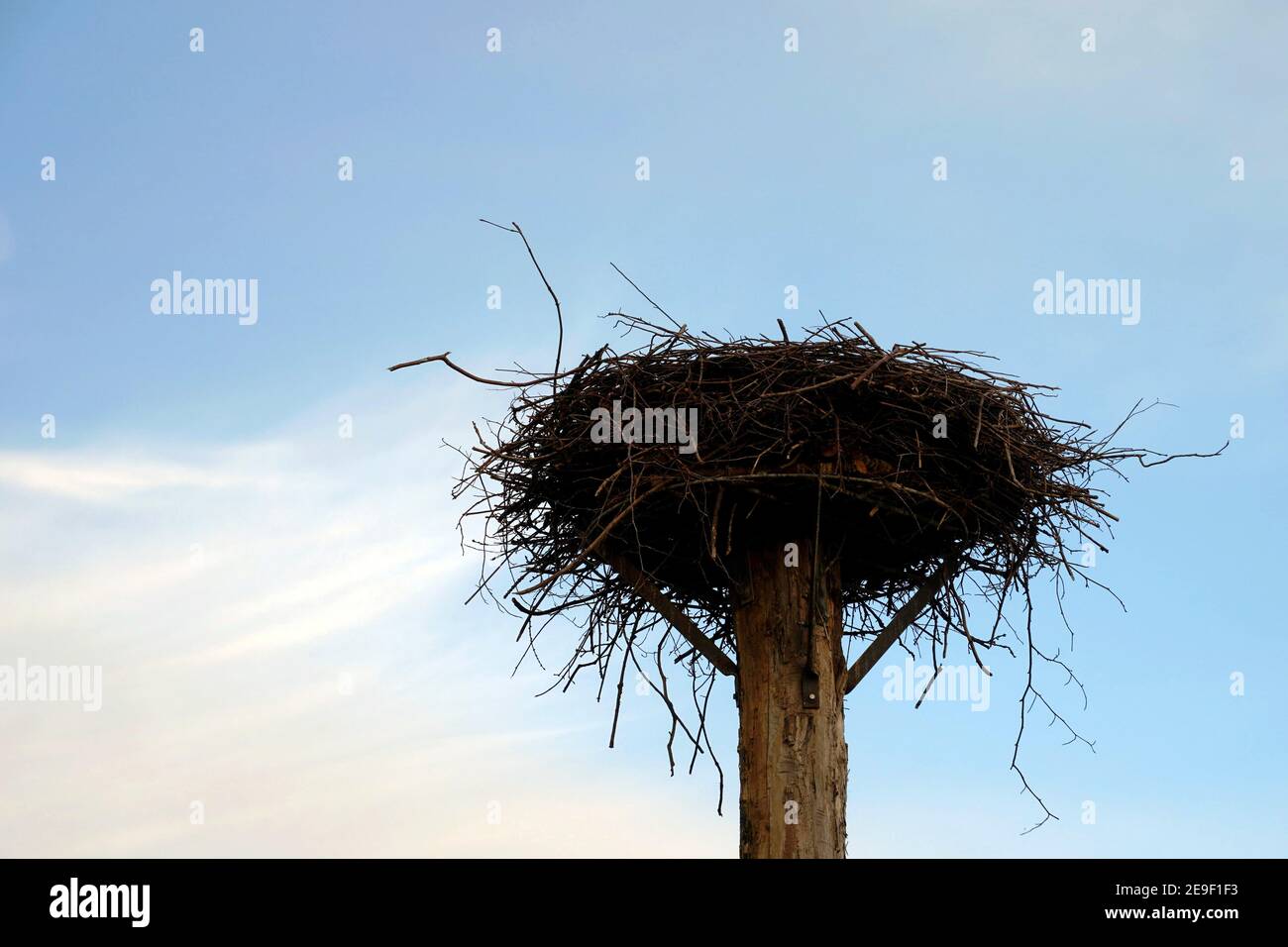 Large bird nest built on a tall concrete column. It is made of twigs ...