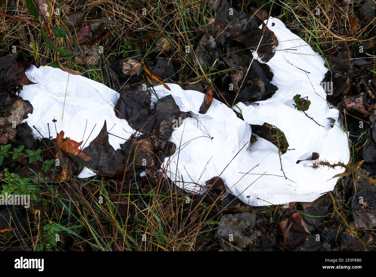 Torn photo pieces hi-res stock photography and images - Alamy