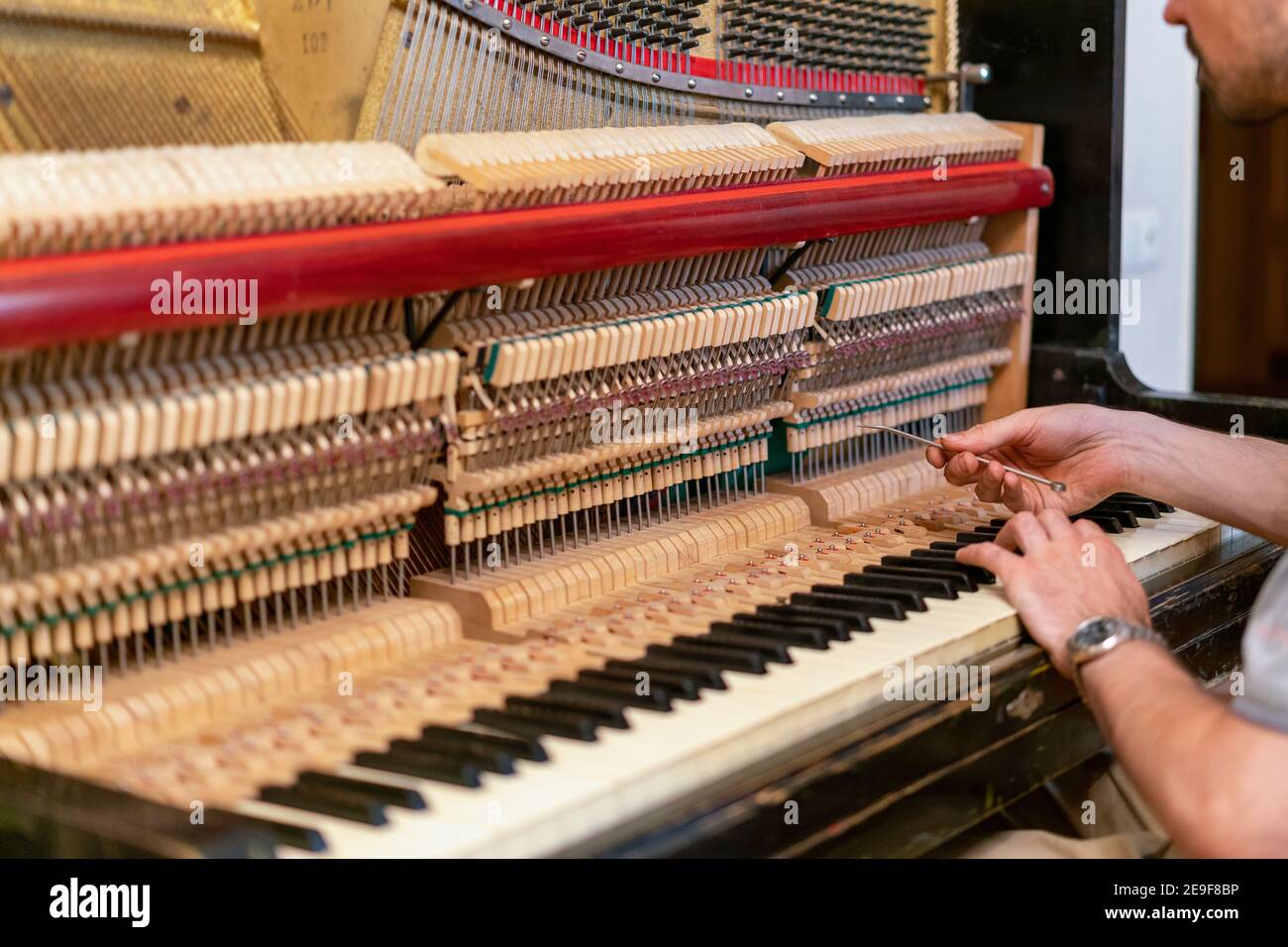 Setting up an old piano. The master repairs an old piano. Deep cleaning ...