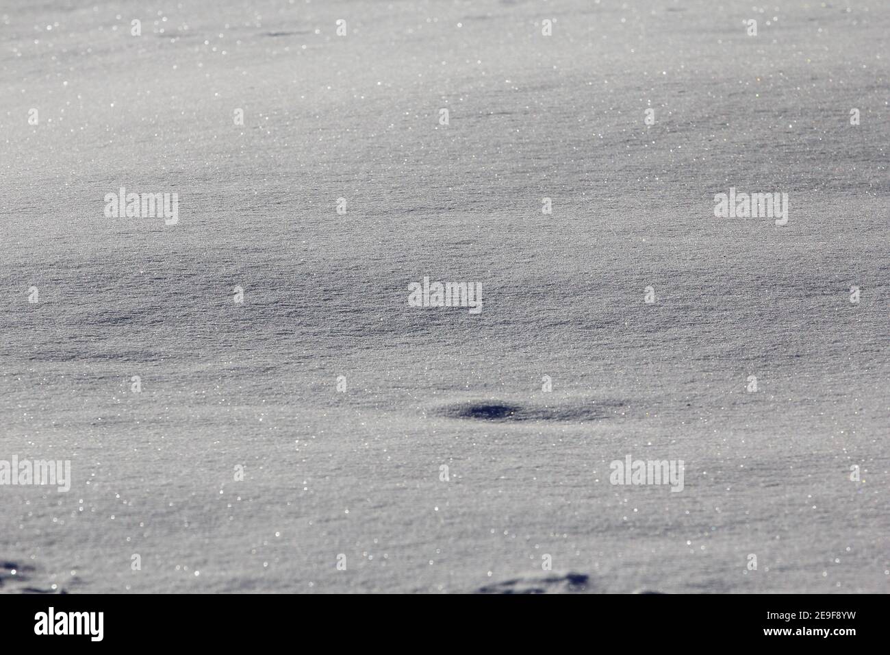 Freshly Fallen Snow Stock Photo - Alamy