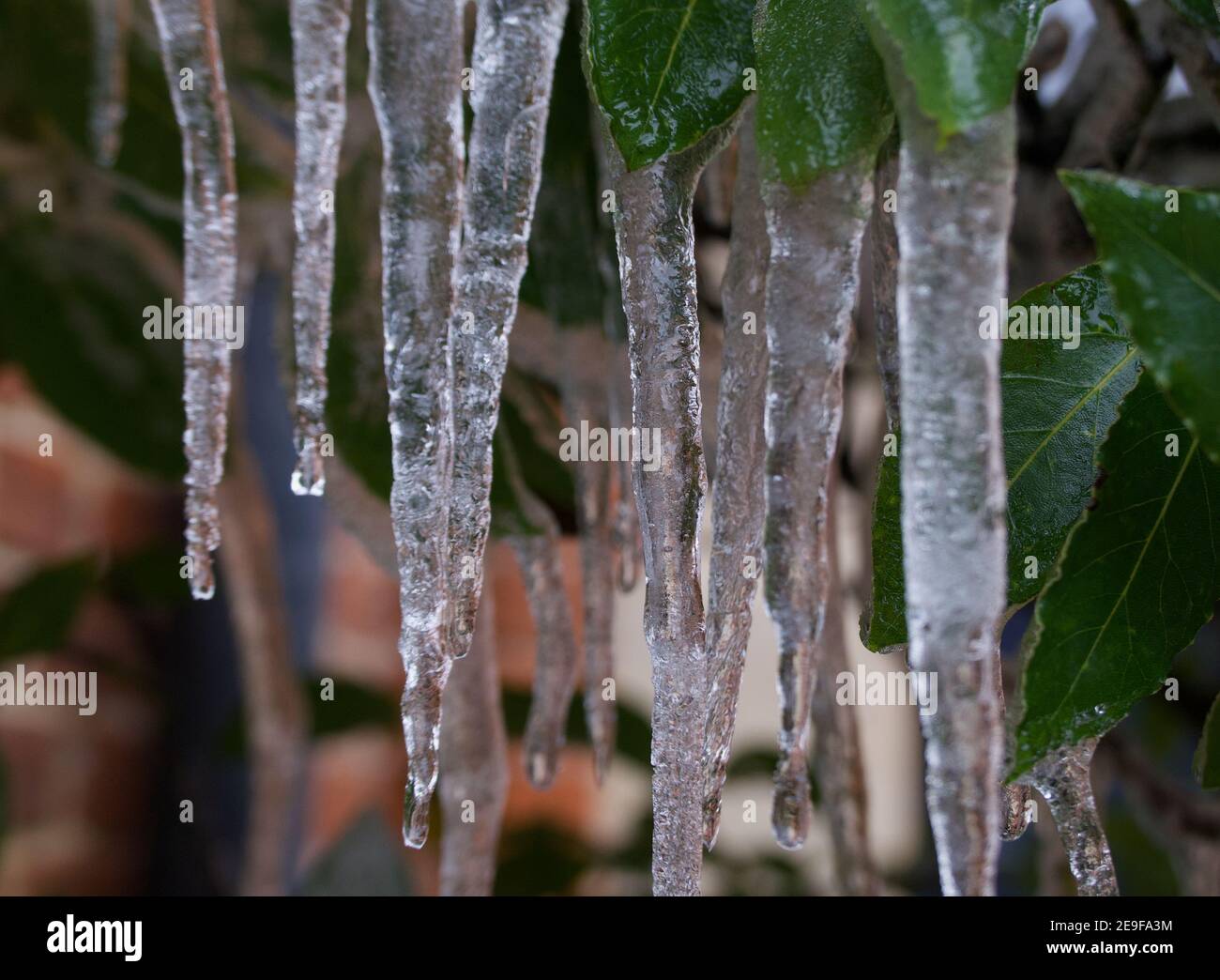 Watery icicles hi-res stock photography and images - Alamy