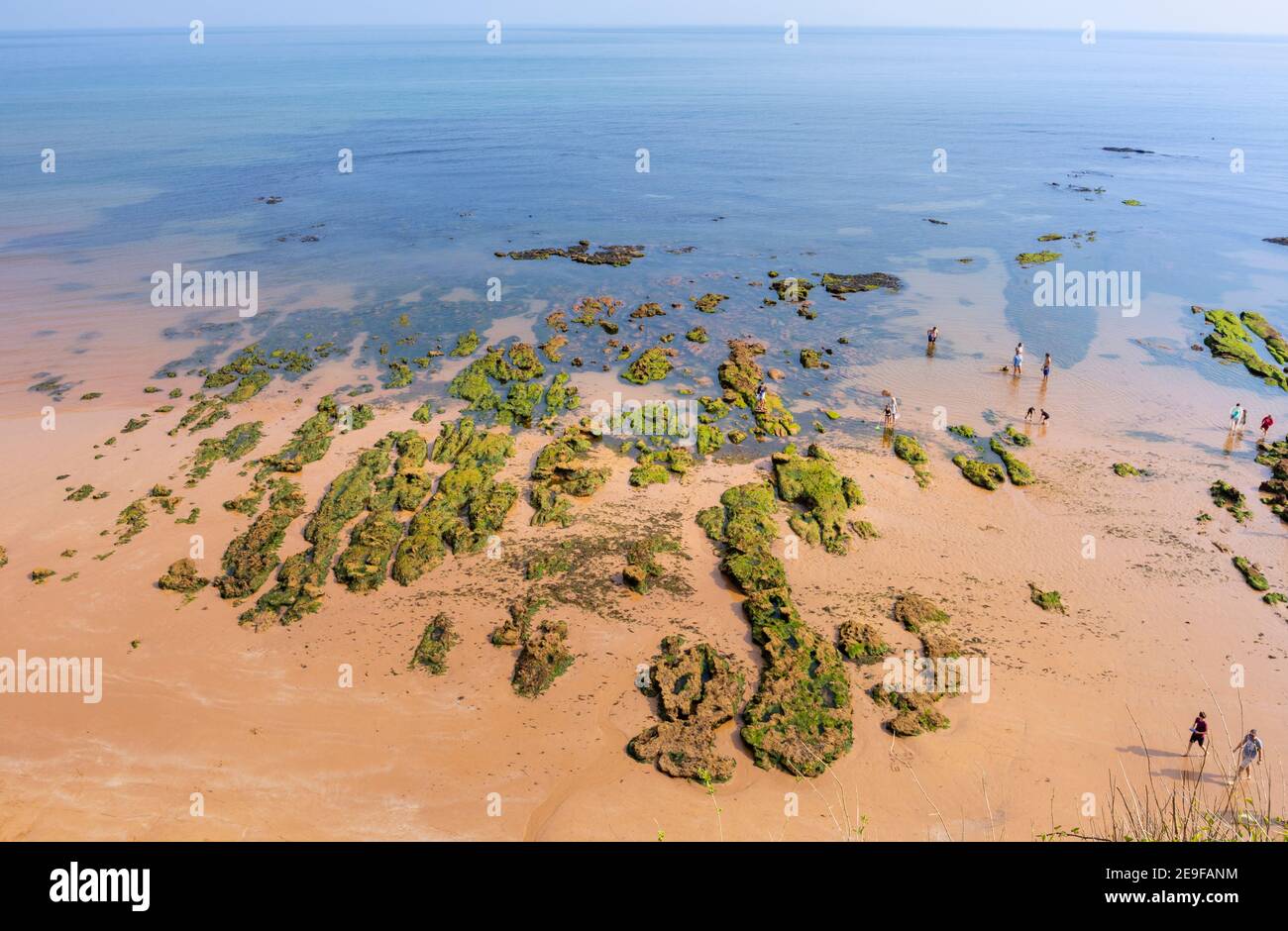 Family pools hi-res stock photography and images - Alamy