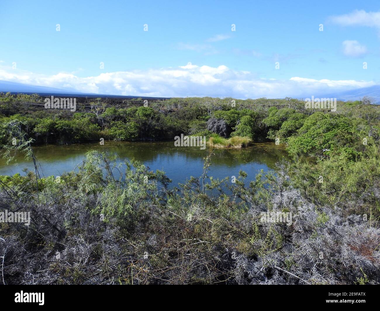 Galapagos Islands with its jungles during the daytime Stock Photo - Alamy