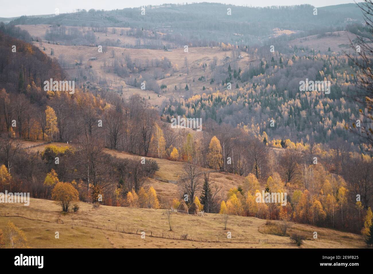 Aerial view of autumn trees on hills Stock Photo - Alamy