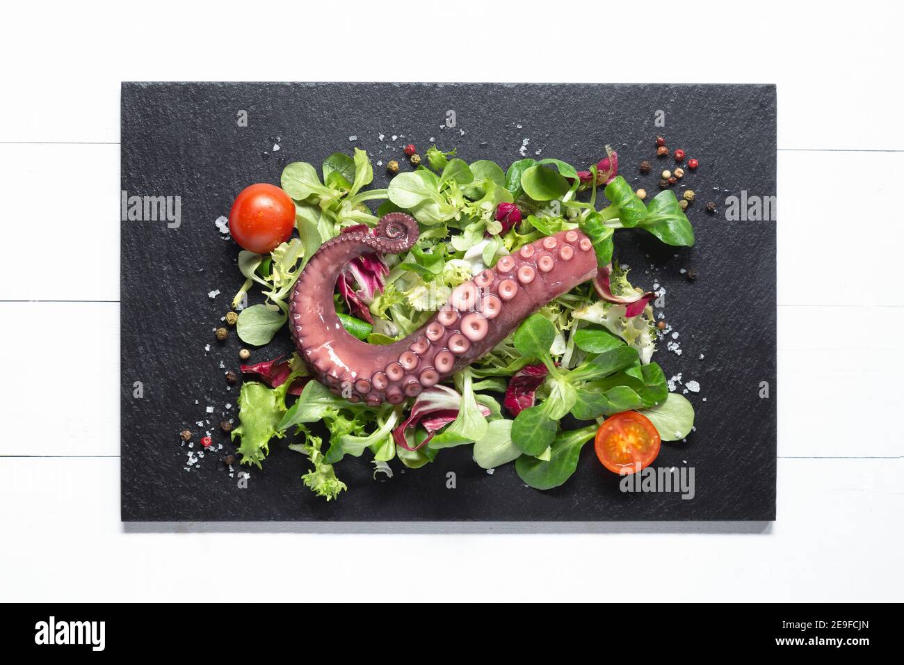 Octopus top view hi-res stock photography and images - Alamy