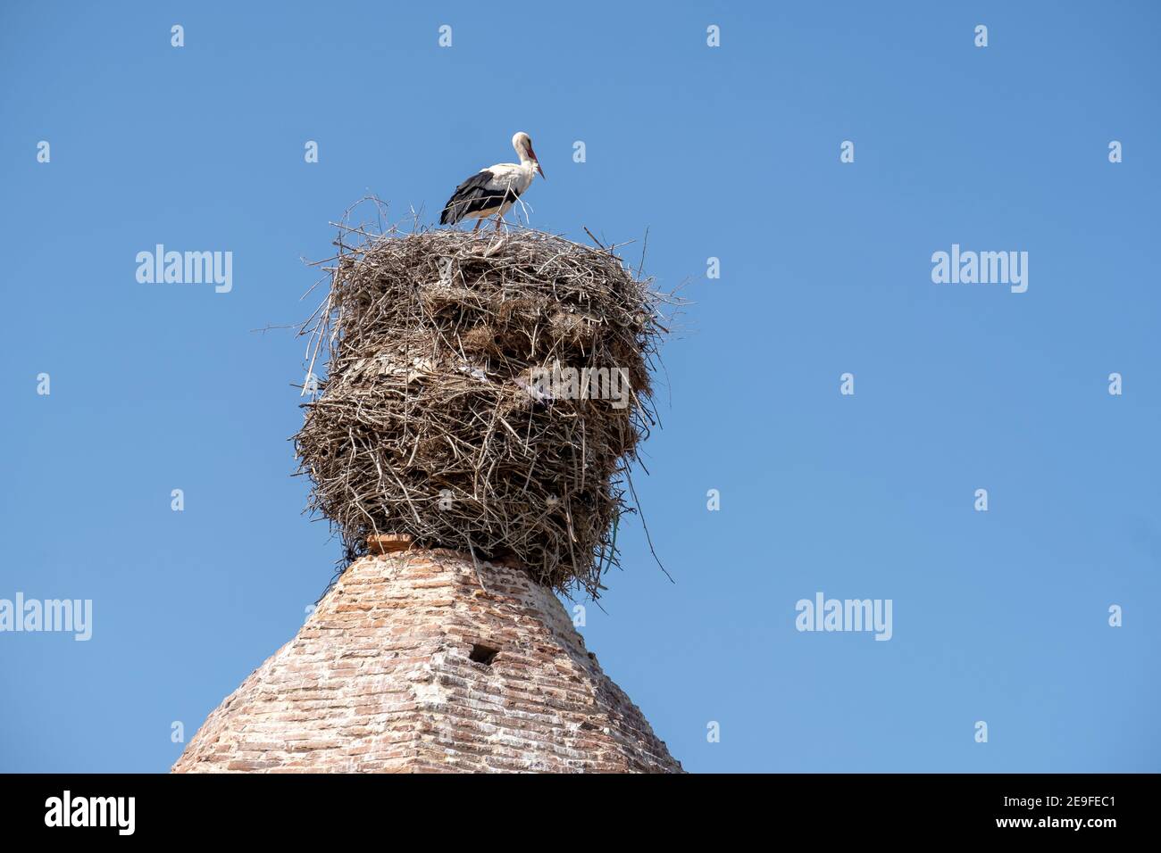Stork in its nest, on top of historical tower in In the Phrygian valley ...