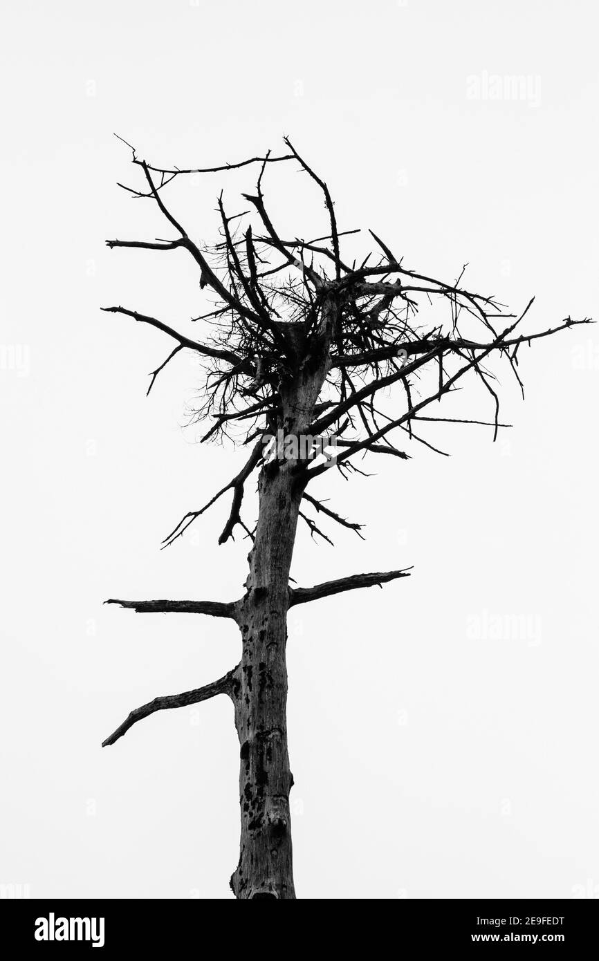 Under a clear Black and White Stock Photos & Images - Alamy