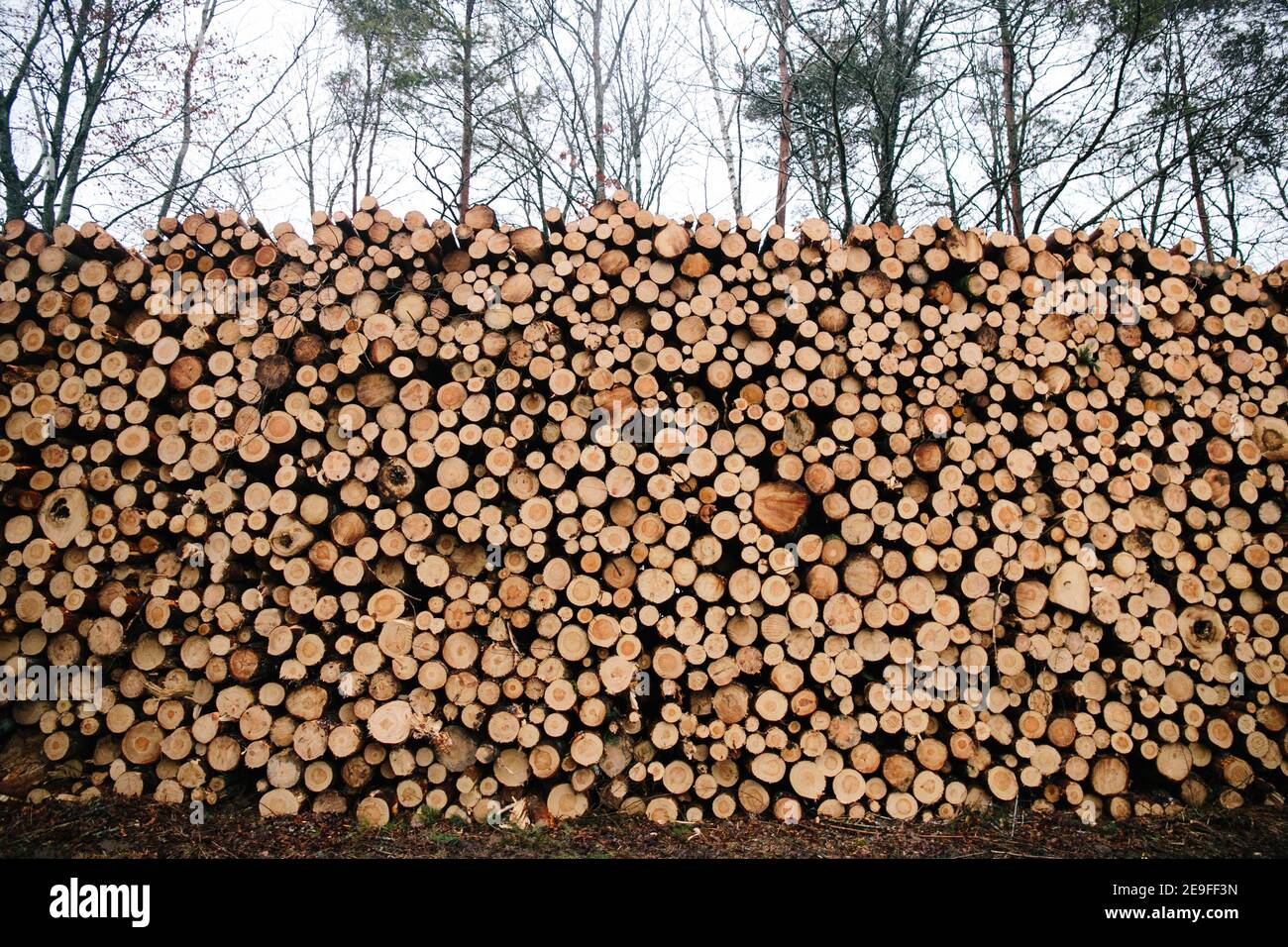 Closeup shot piles woods hi-res stock photography and images - Alamy