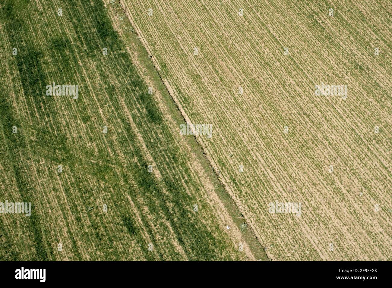 Agricultural field view, efficient farming of organic crops . Farmland ...
