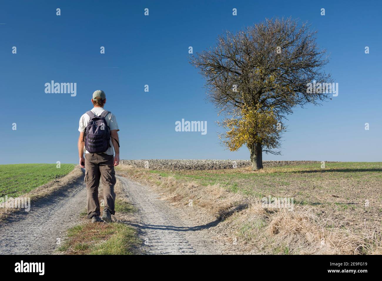 Person walking down path hi-res stock photography and images - Alamy