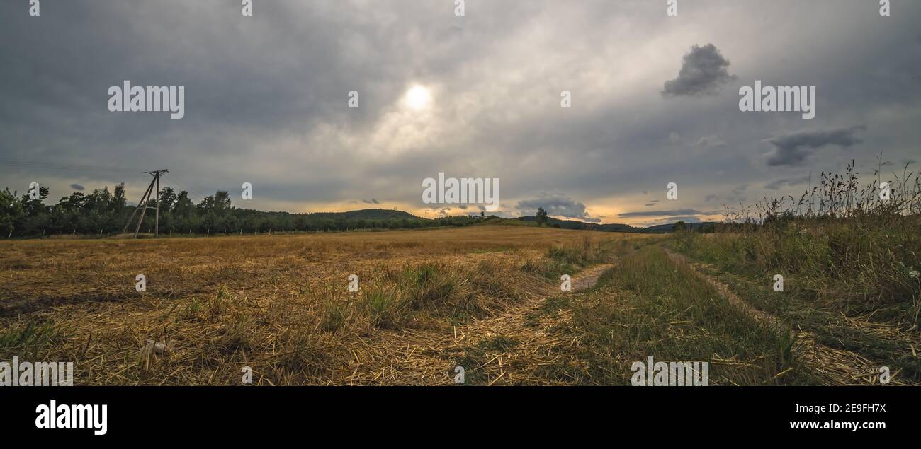 Low angle shot of a yellow dry field on cloudy sky background Stock ...
