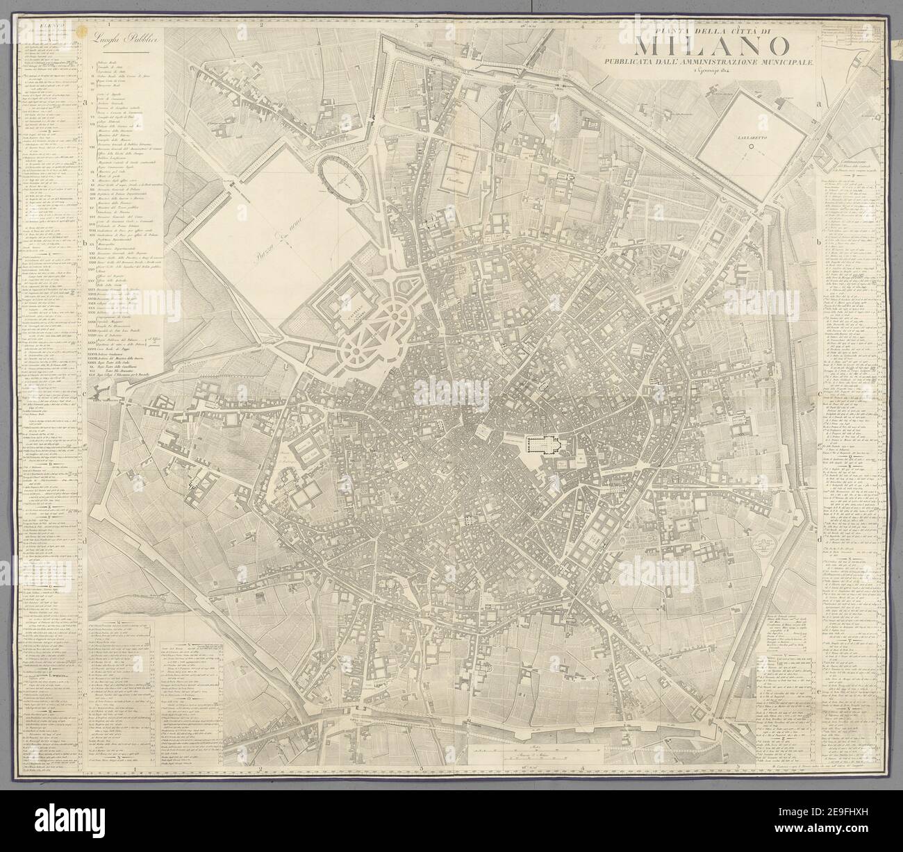 Pianta di gennaio hi-res stock photography and images - Alamy