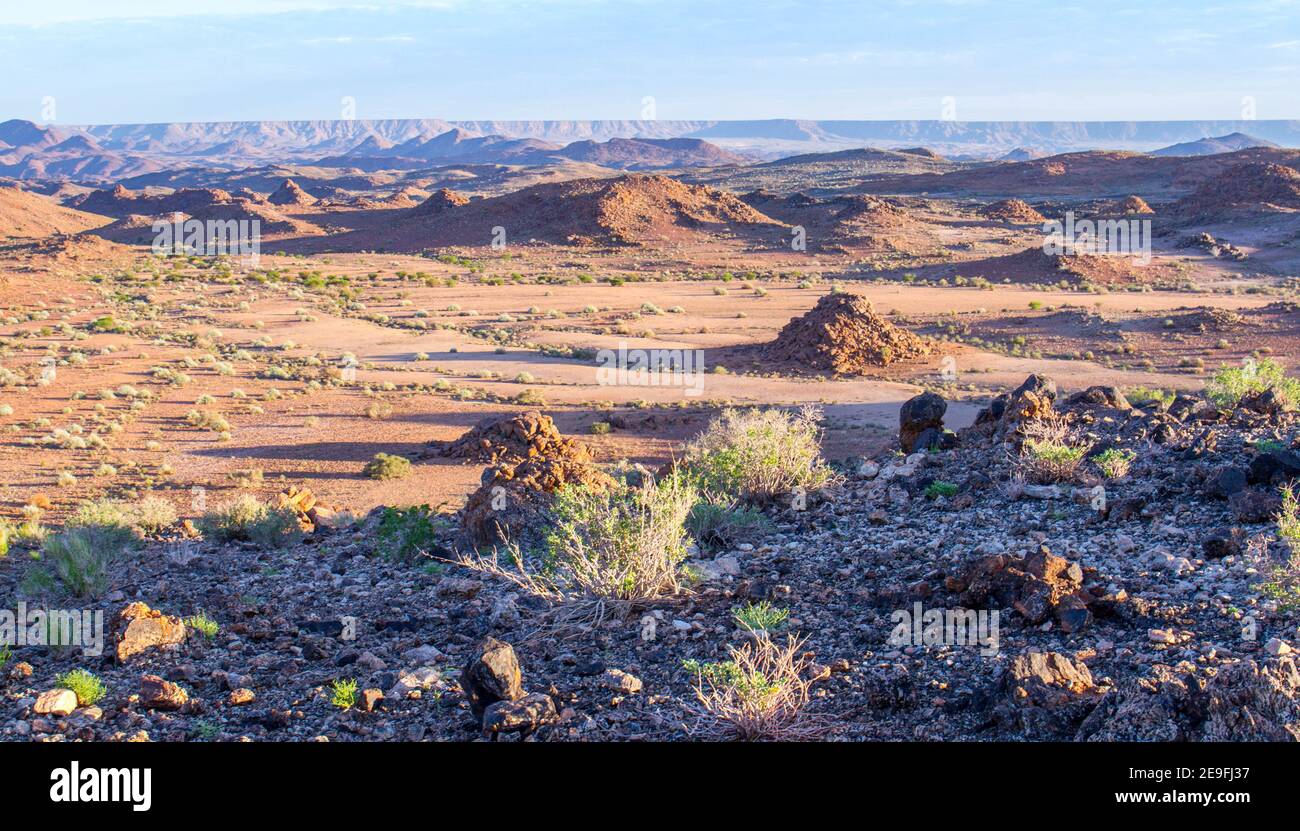 Desert landscape in the green kalahari region in the northern Cape ...