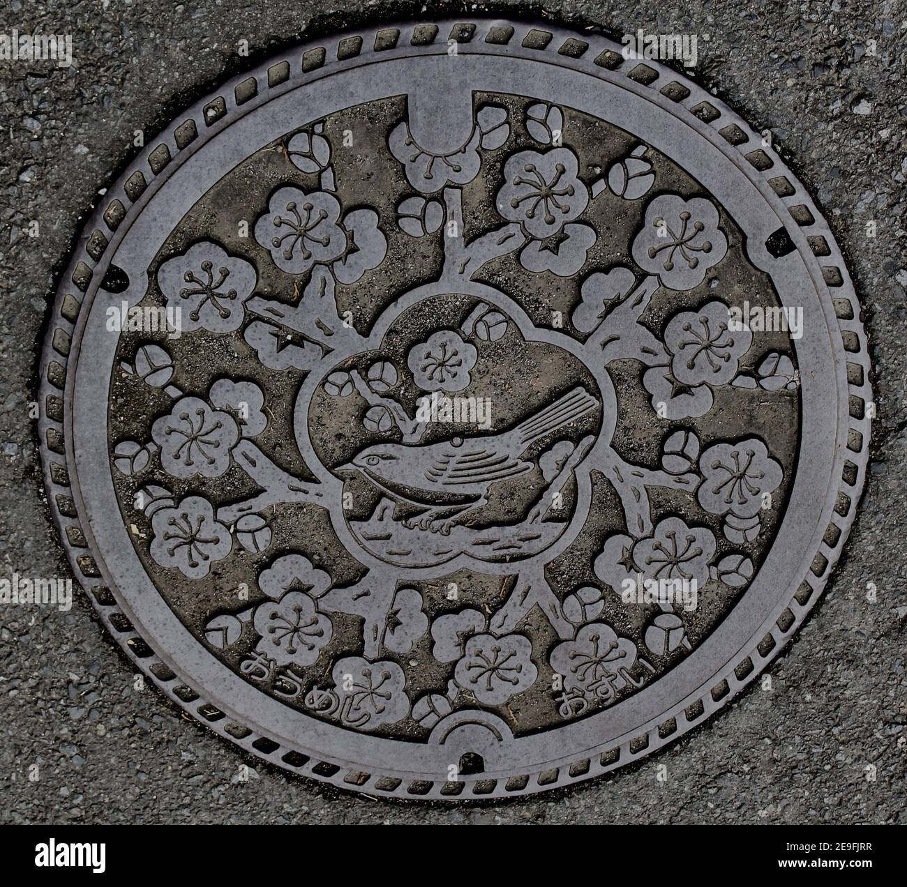 Japanese Sewer Manhole Cover Stock Photo - Alamy