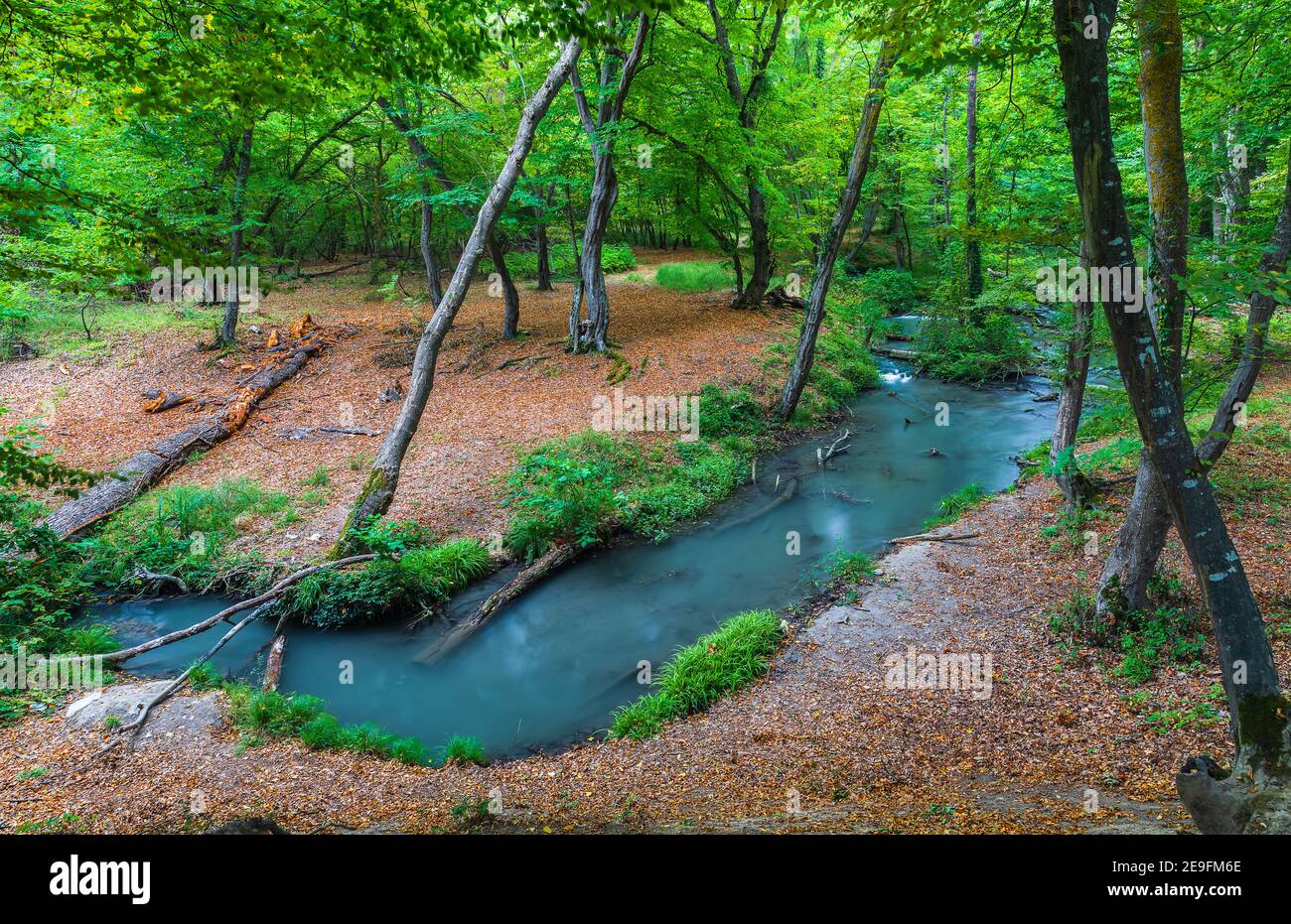 Small river in a dense forest in autumn Stock Photo - Alamy
