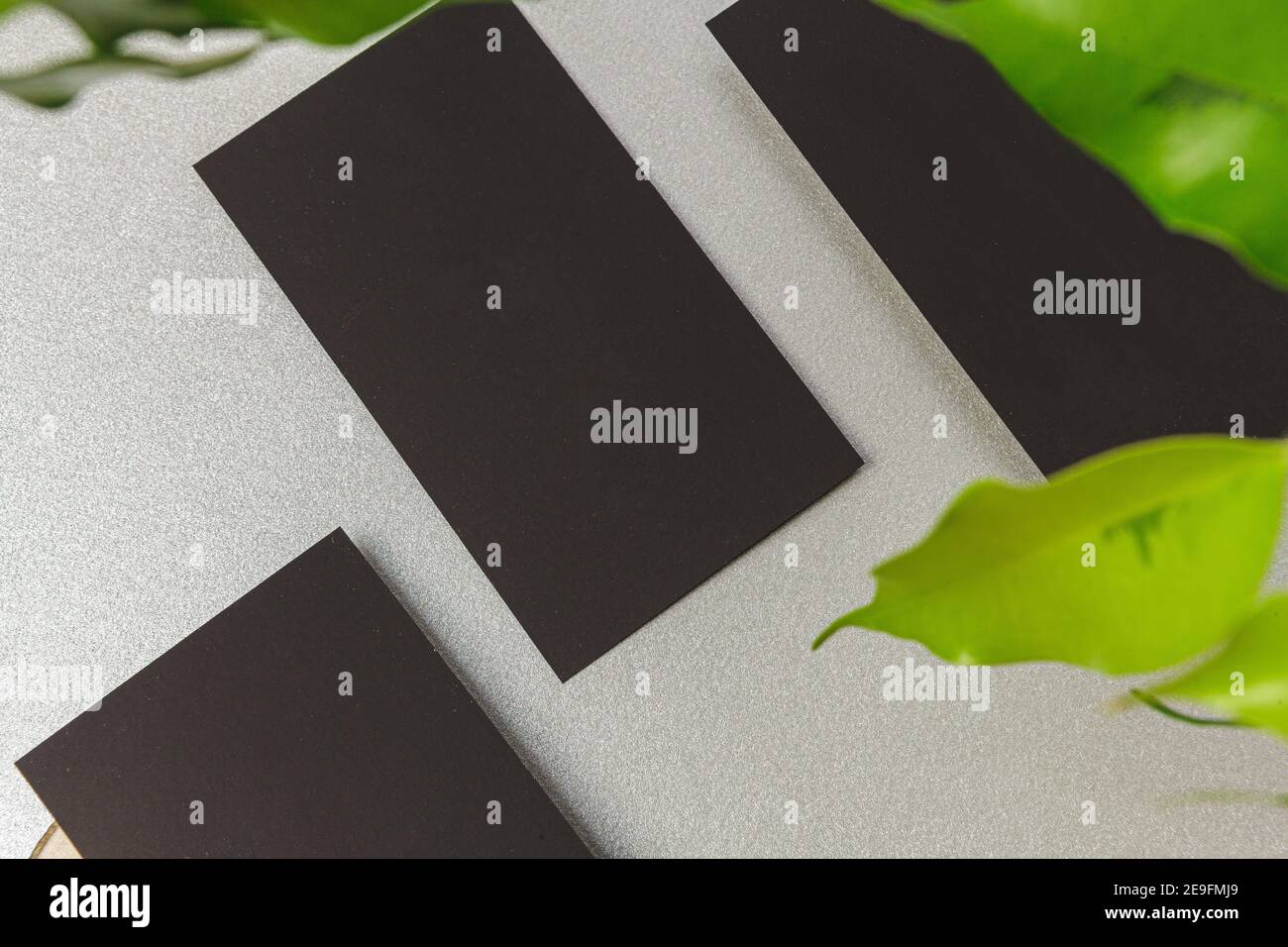 Flat lay craft paper card mockup with leaves Stock Photo - Alamy