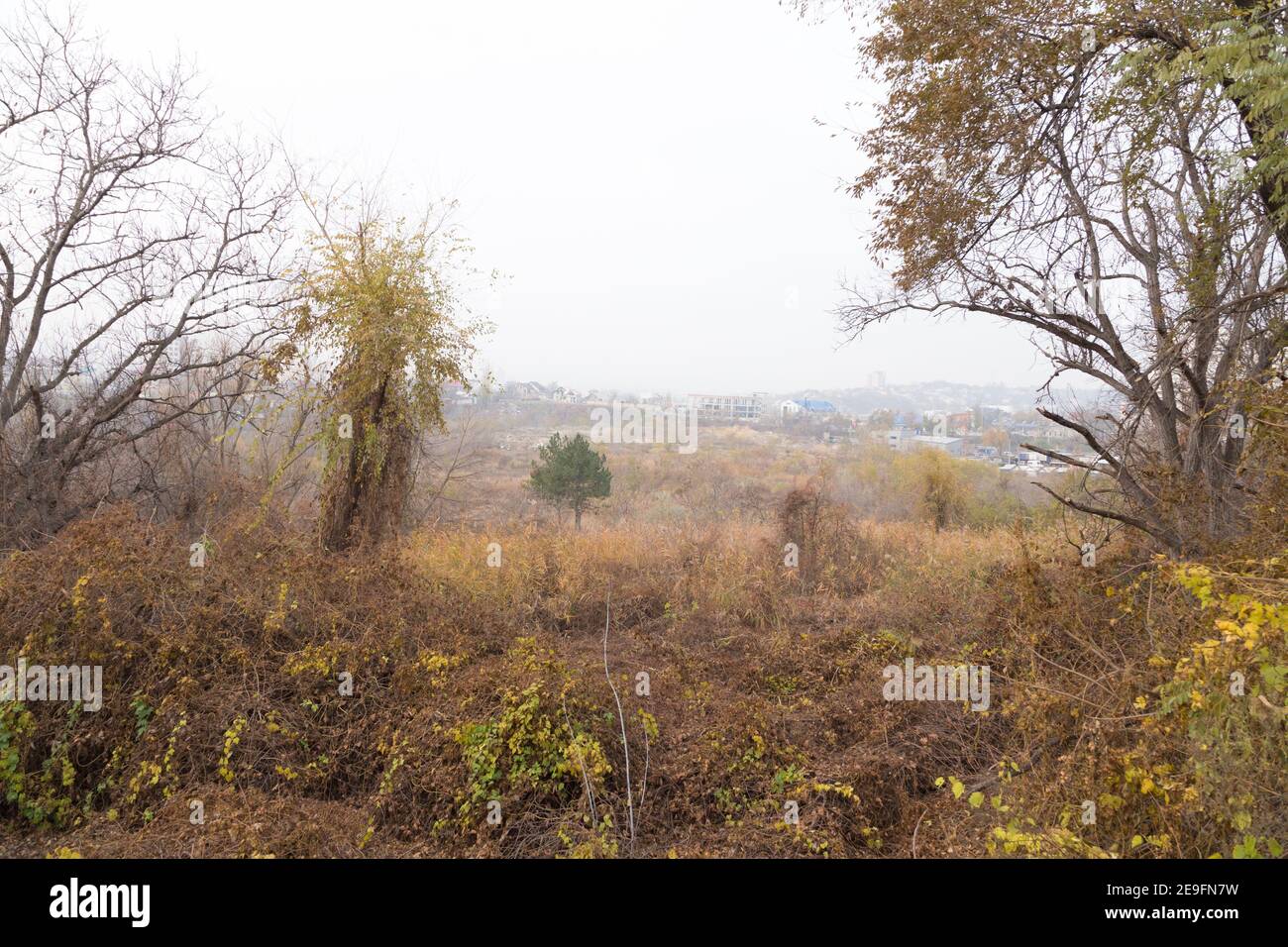 Caty hi-res stock photography and images - Alamy