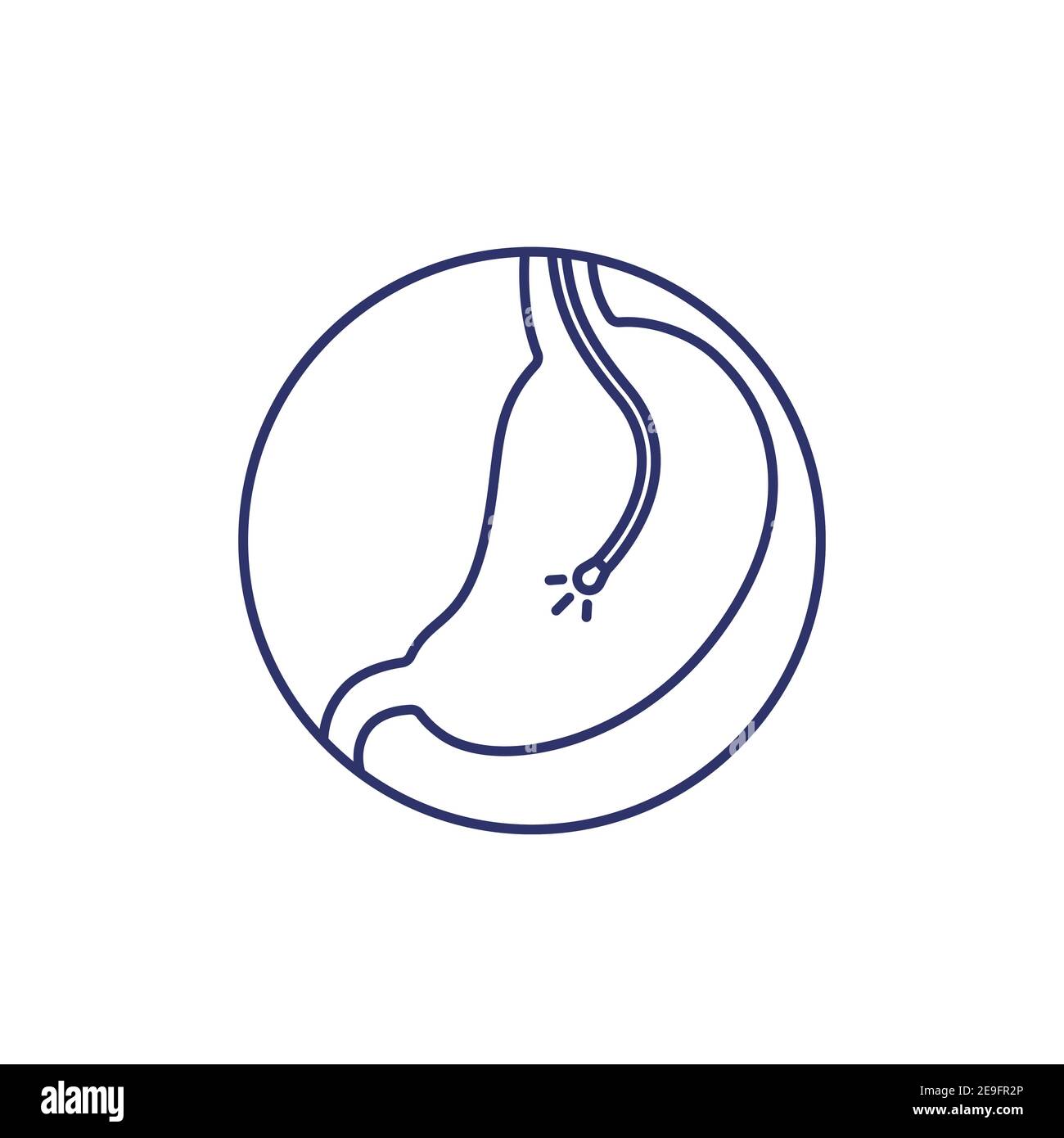 endoscopy icon, stomach and endoscope line vector Stock Vector Image ...