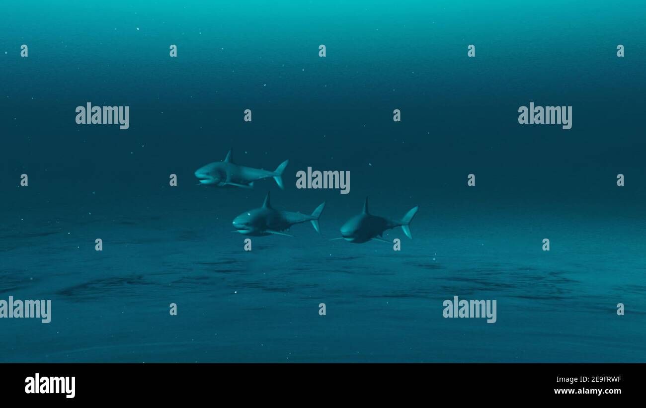Underwater view of three great white sharks in blue ocean.3D render ...