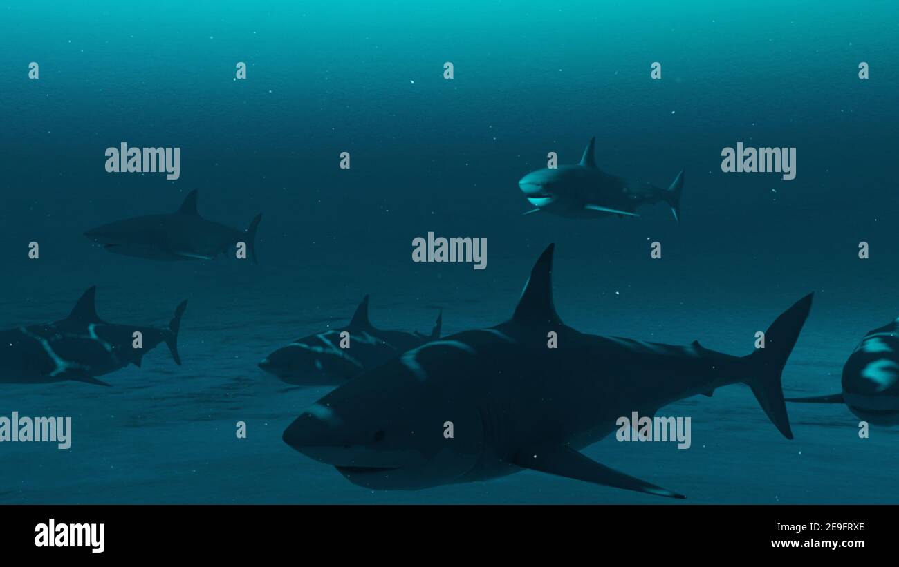 Deep Blue Sea Great White Shark