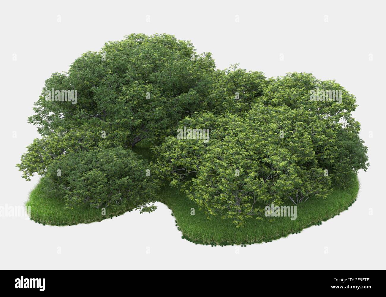 Forest isolated. Image useful for banners and posters or photo ...