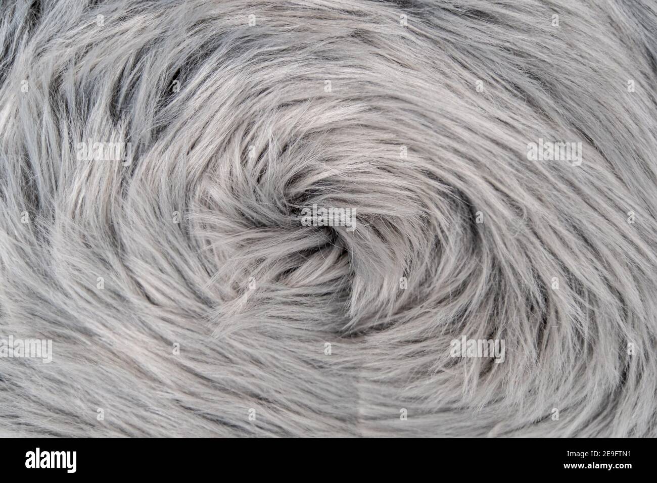 Grey fur rug texture of a textile with long fibers. Natural structure ...