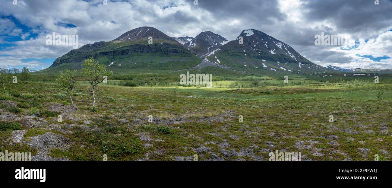 Beautiful flowerbed plains and Akka Mountain Massif in Sweden Stock ...