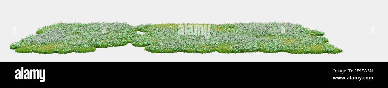 Banner grass field for composition isolated on background with mask. 3d ...