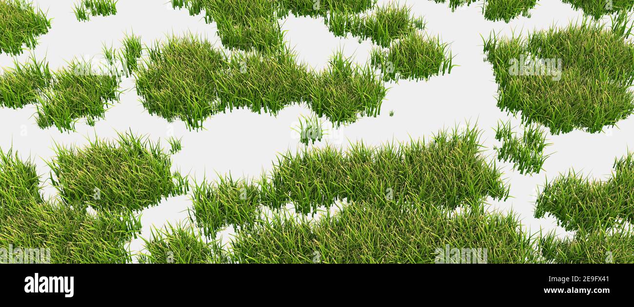 Banner grass field for composition isolated on background with mask. 3d ...