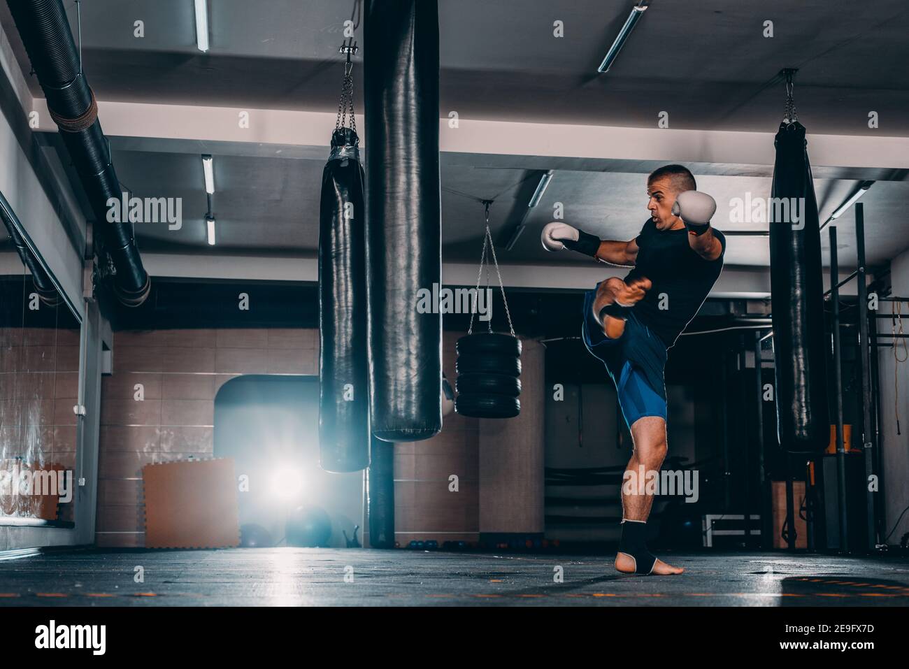 Professional boxer fighting and training in gym. Strong, muscular man ...