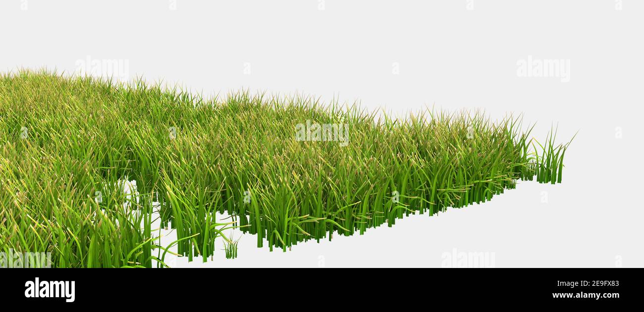 Banner grass field for composition isolated on background with mask. 3d ...