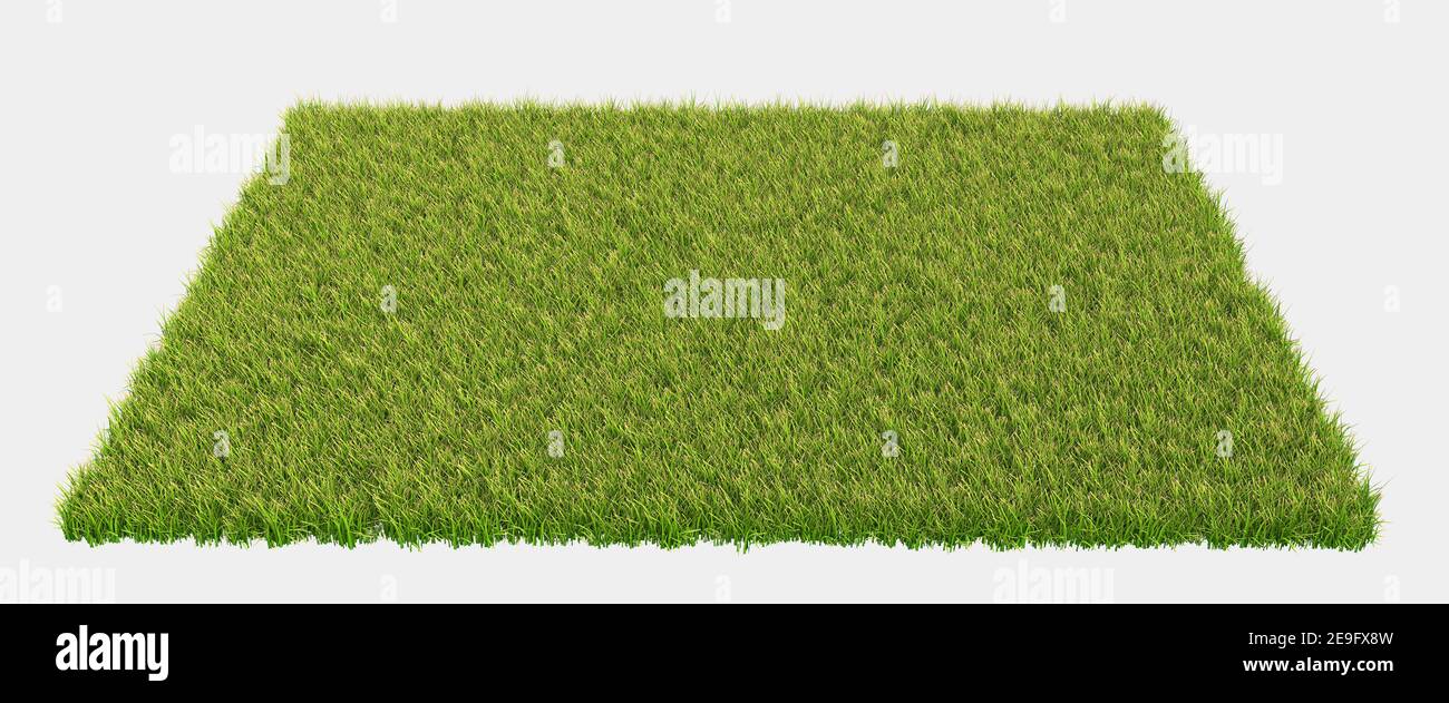 Banner grass field for composition isolated on background with mask. 3d ...