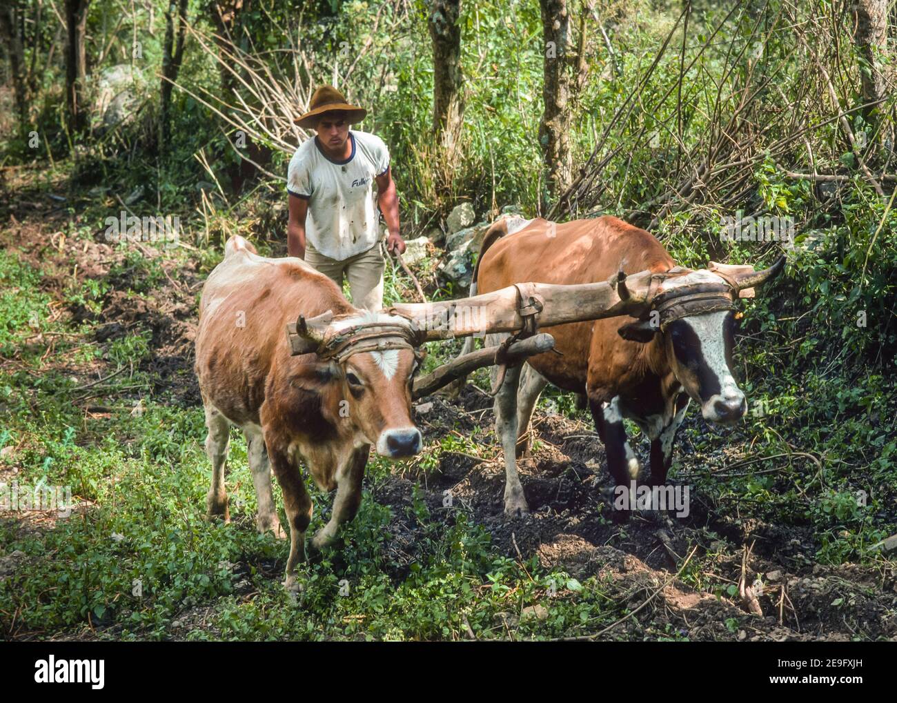 Rural farmer venezuela hi-res stock photography and images - Alamy