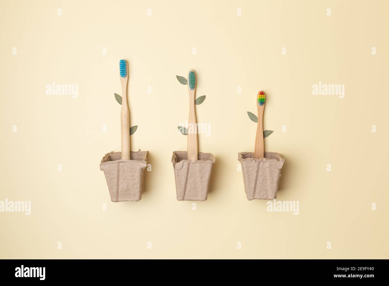 Toothbrush tree hi-res stock photography and images - Alamy