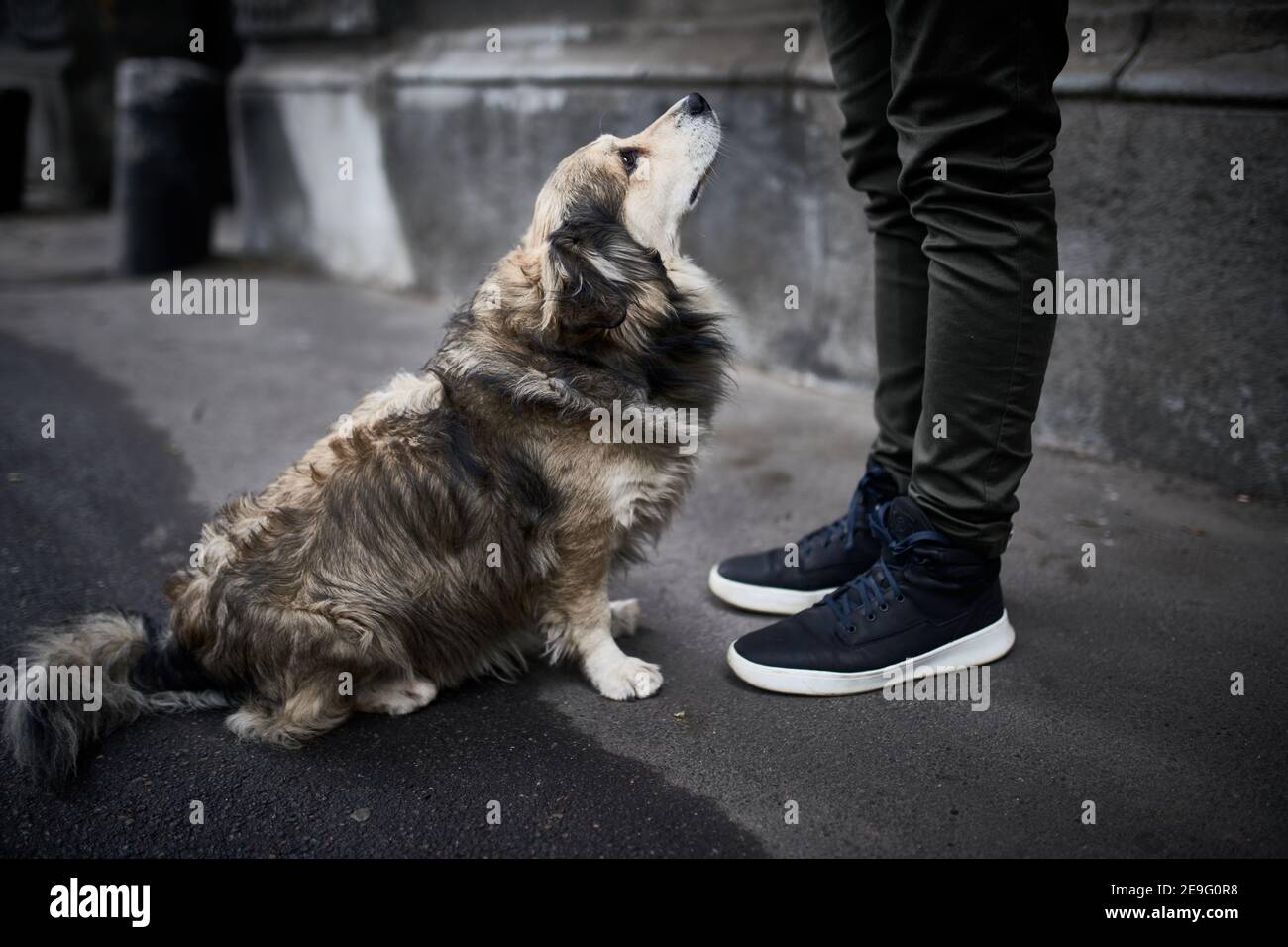Sad man dog hi-res stock photography and images - Alamy