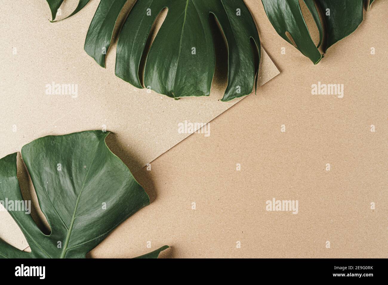 Flat lay craft paper card mockup with leaves Stock Photo - Alamy
