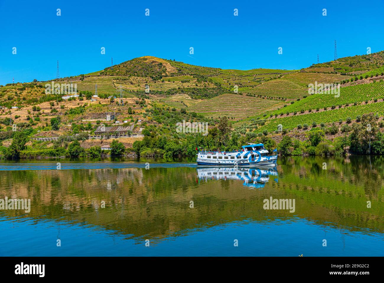 Cruise ship on Douro river passing among vineyards, Porto Stock Photo ...