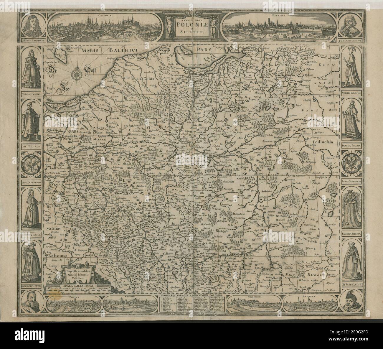 Dibus hi-res stock photography and images - Alamy