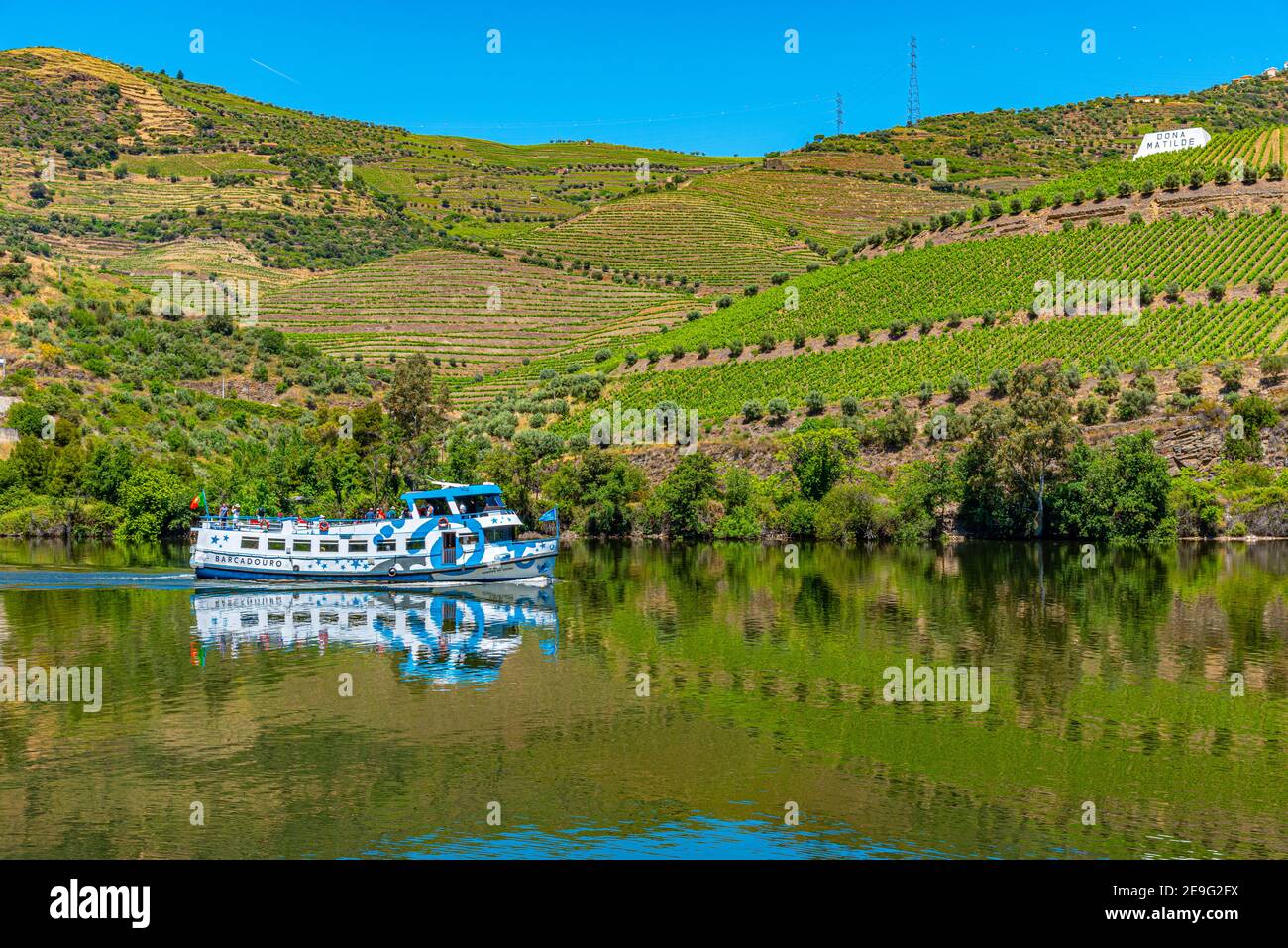 Cruise ship on Douro river passing among vineyards, Porto Stock Photo ...